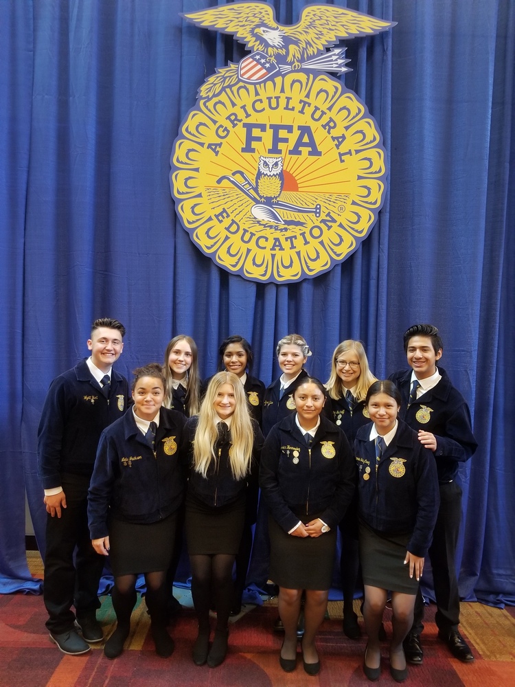 American Falls FFA students shine at national convention | American ...